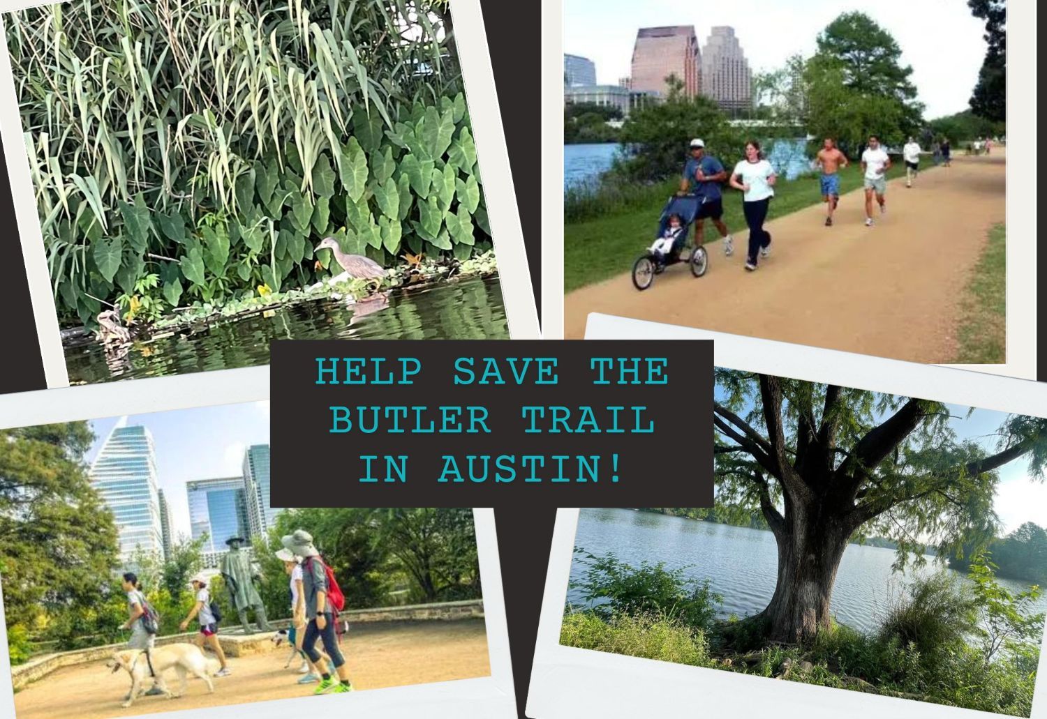Preserving Lady Bird Lake & Protecting the Butler Trail - A Precious ...